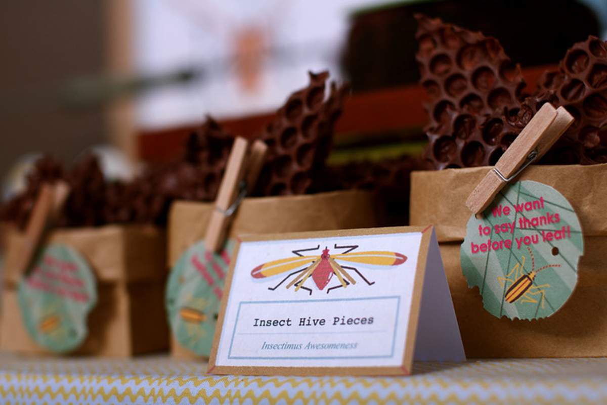 Bugs and Insects Birthday Party Ideas | Photo 2 of 14 | Catch My Party