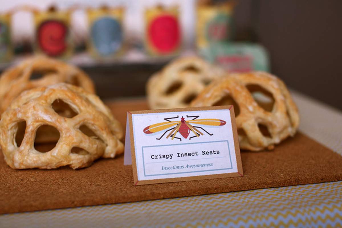 Bugs and Insects Birthday Party Ideas | Photo 2 of 14 | Catch My Party