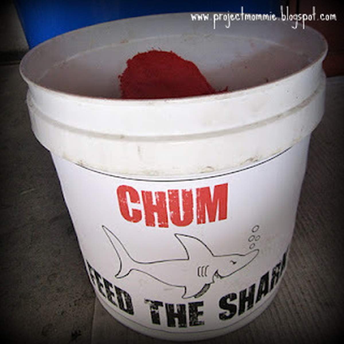 Sharks Birthday Party Ideas | Photo 2 of 31 | Catch My Party