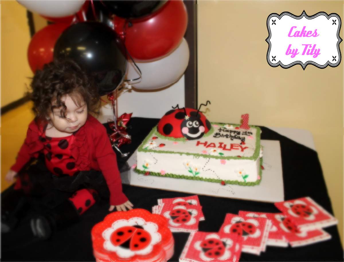 Ladybugs Birthday Party Ideas | Photo 4 of 5 | Catch My Party