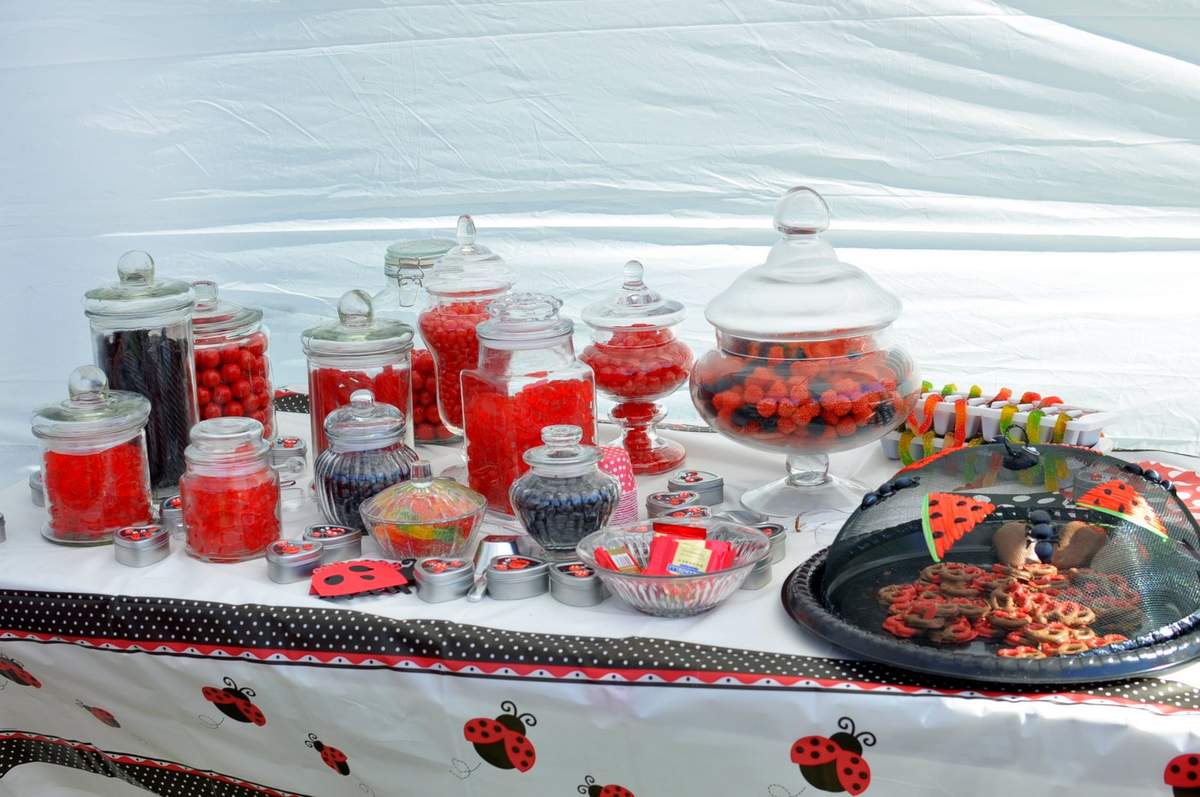 Ladybug Polka Dot Birthday Party Ideas | Photo 3 of 45 | Catch My Party