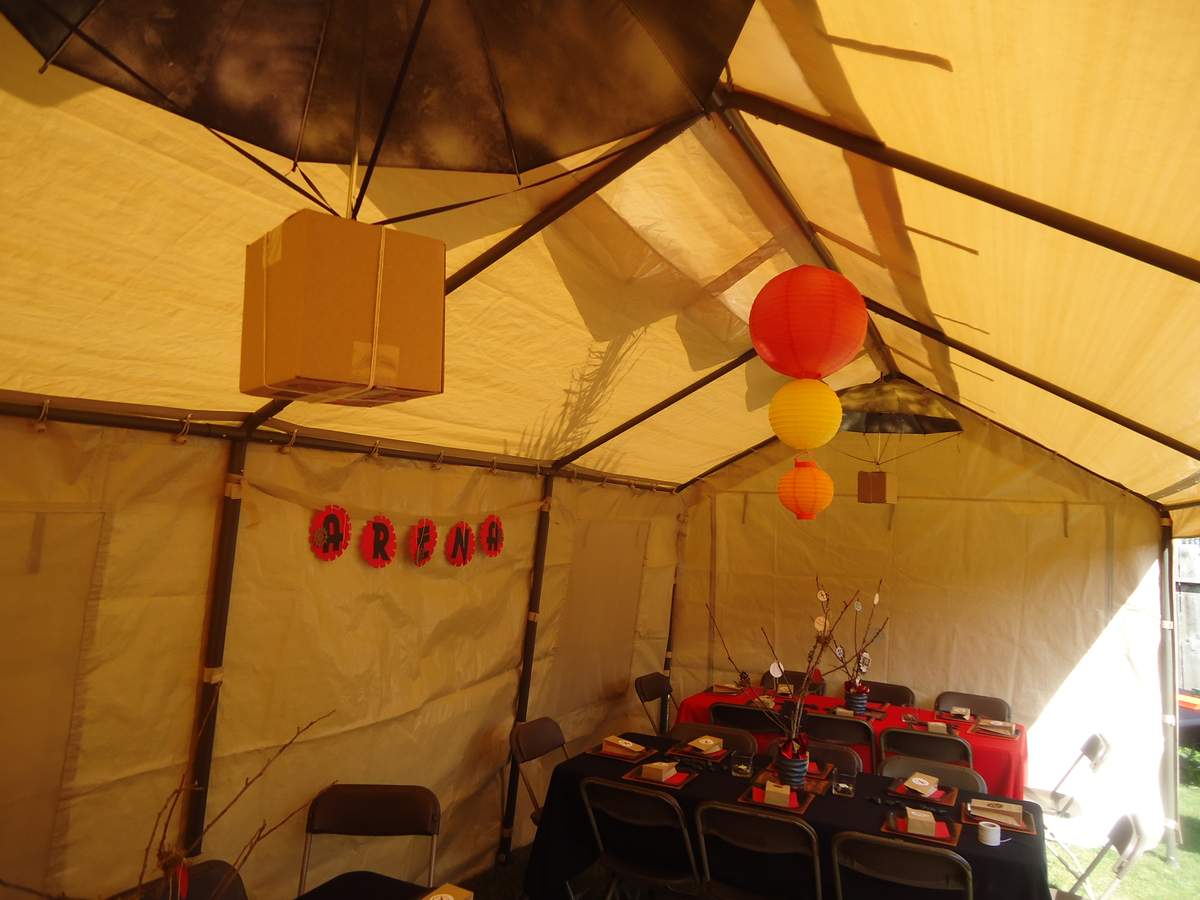 Hunger Games Movie Night Party Ideas | Photo 3 of 31 | Catch My Party