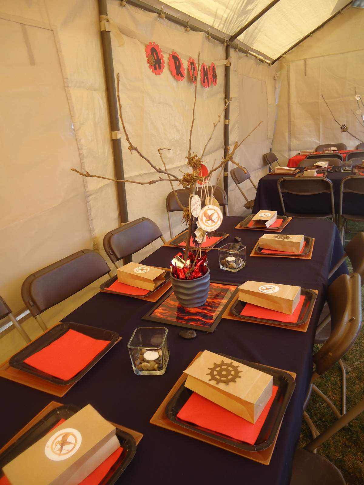 Hunger Games Movie Night Party Ideas | Photo 8 of 31 | Catch My Party