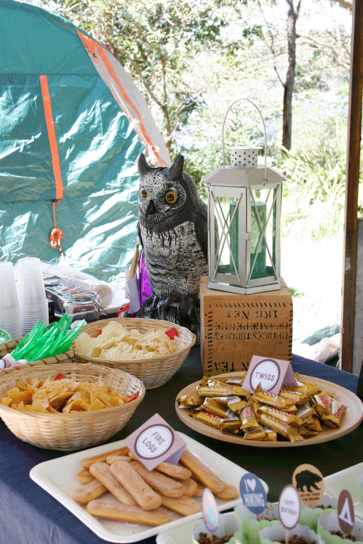 Camping/Woodsy Birthday Party Ideas | Photo 1 of 35 | Catch My Party