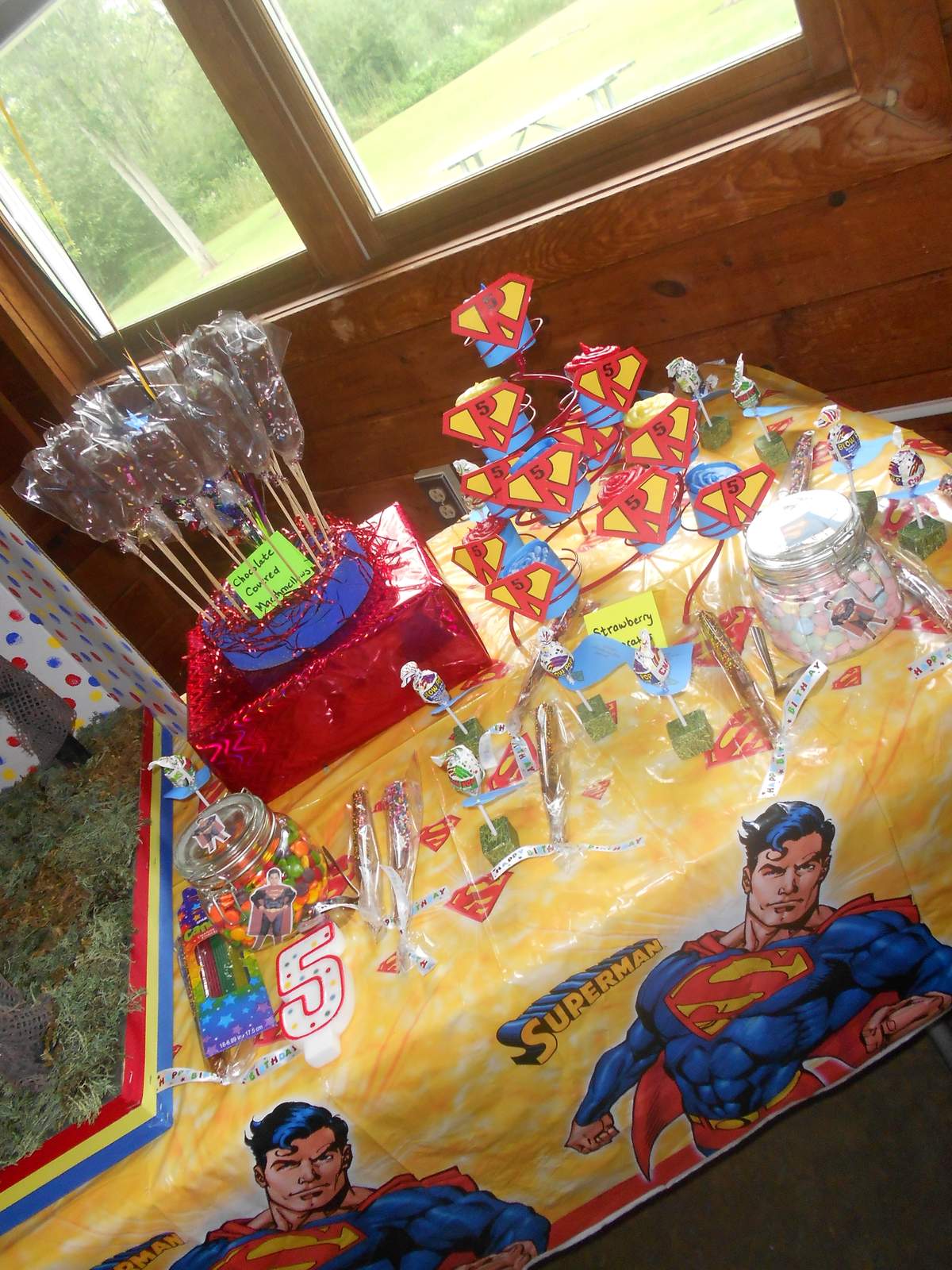 Superman Birthday Party Ideas | Photo 15 of 59 | Catch My Party