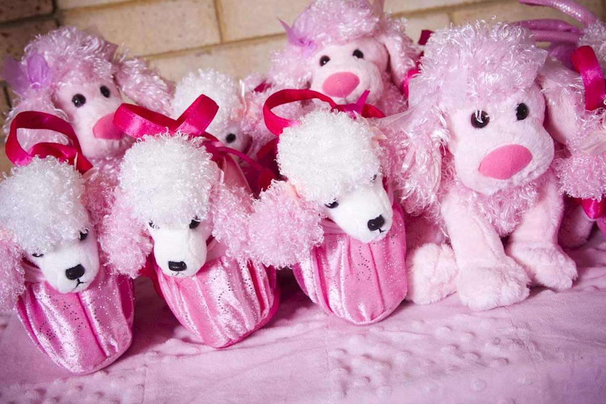 Pink Poodle Birthday Party Ideas | Photo 6 of 28 | Catch My Party