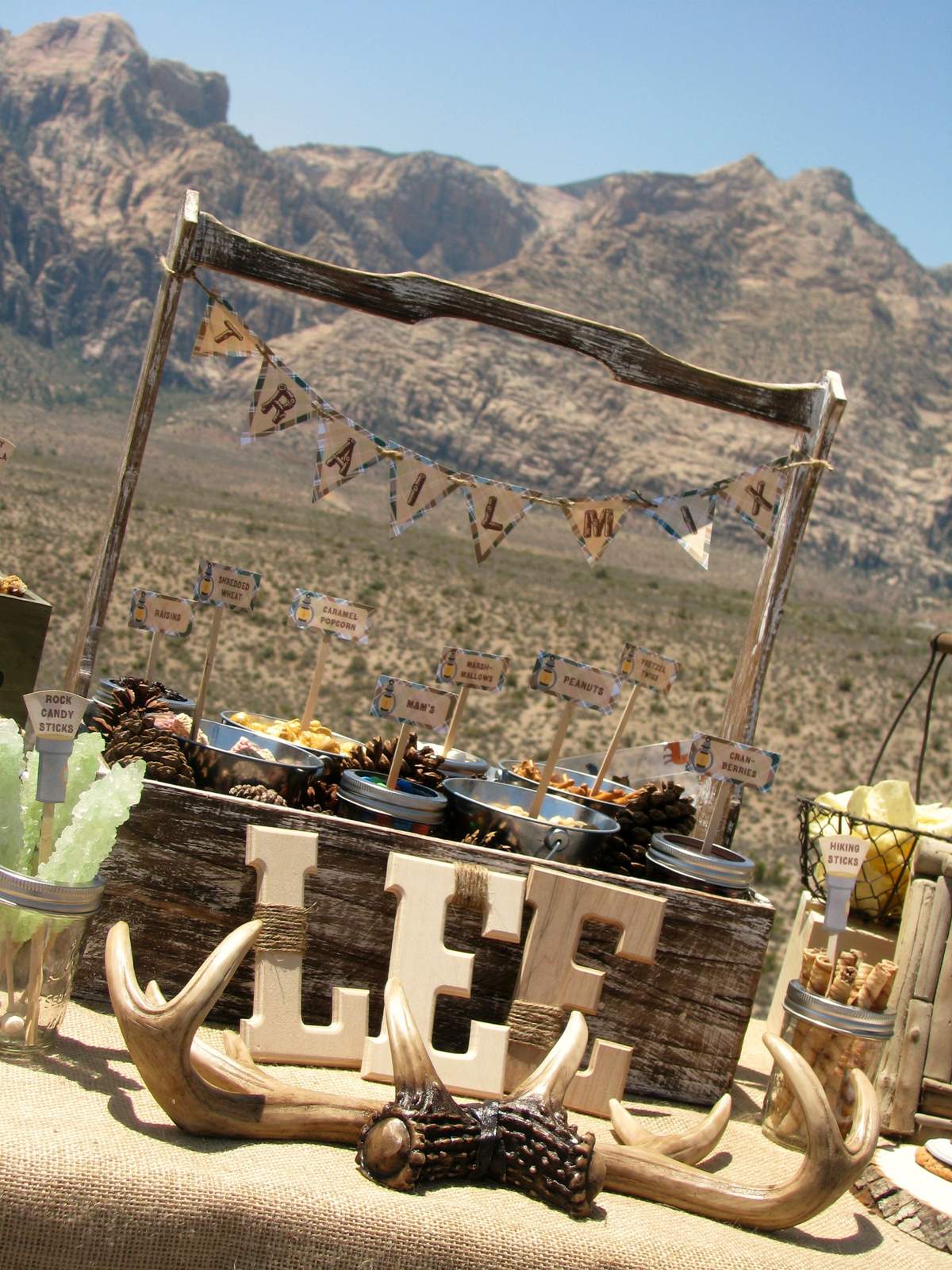 Hiking Party Father's Day Party Ideas | Photo 1 of 46 | Catch My Party