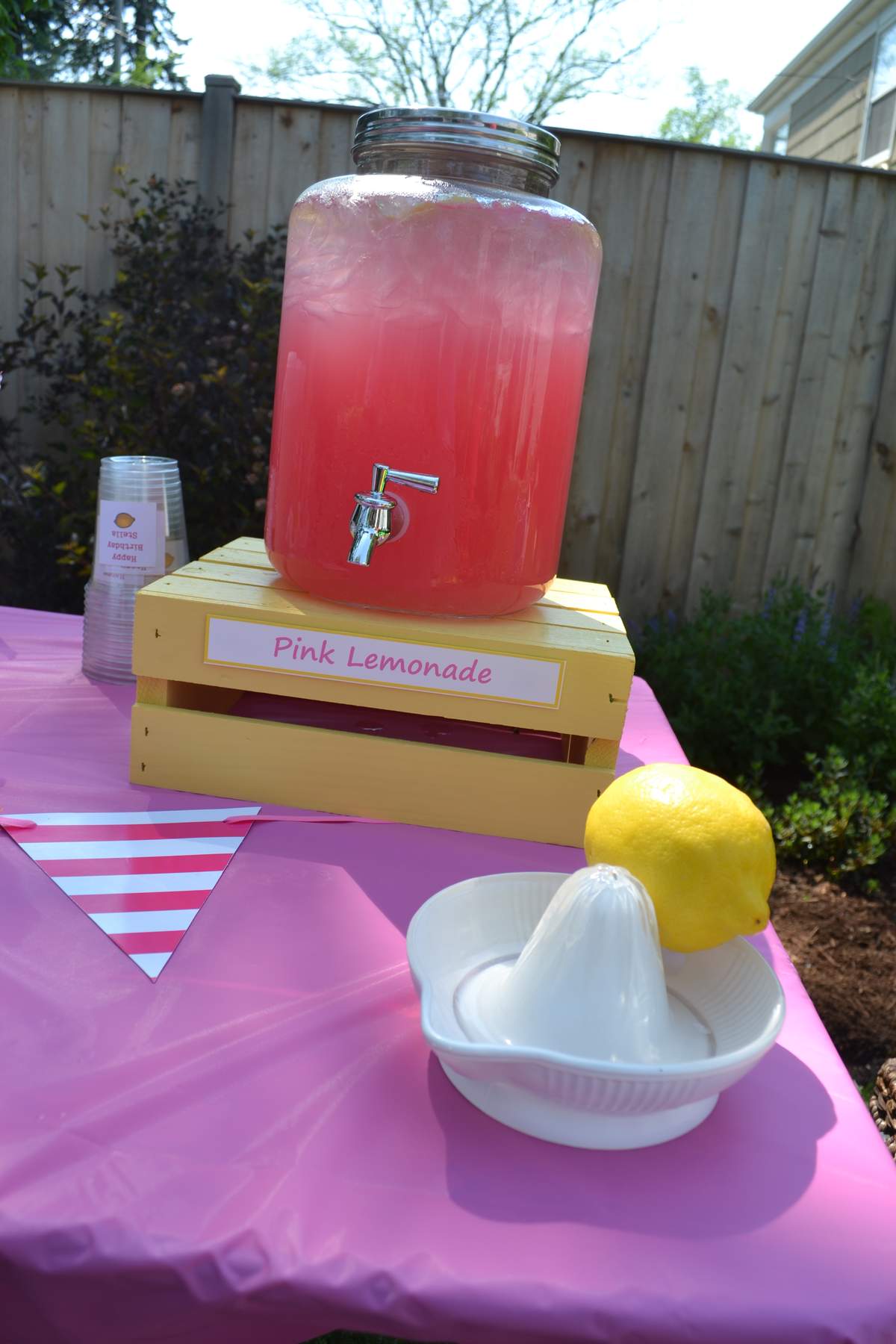 Pink Lemonade First Birthday Party Birthday Party Ideas | Photo 6 of 34 ...