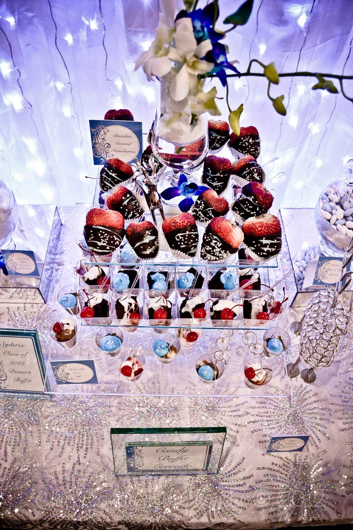 Winter Woodland Graduation/End of School Party Ideas | Photo 2 of 19 ...