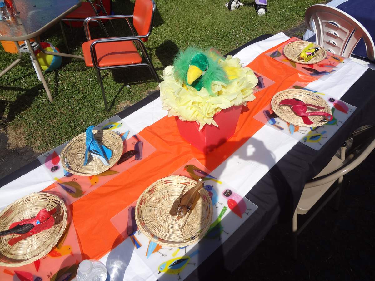 Rio The Movie / birds Birthday Party Ideas | Photo 2 of 42 | Catch My Party