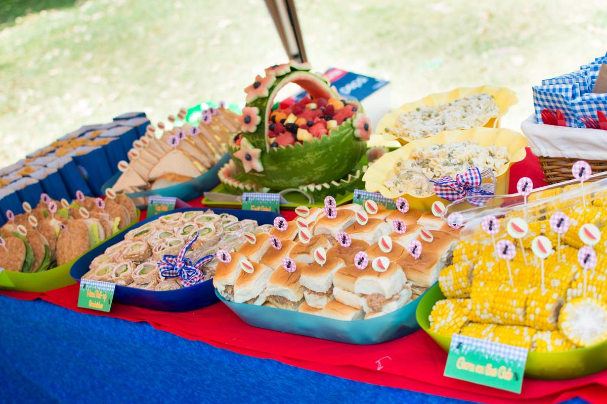 Picnic Birthday Party Ideas | Photo 1 of 57 | Catch My Party