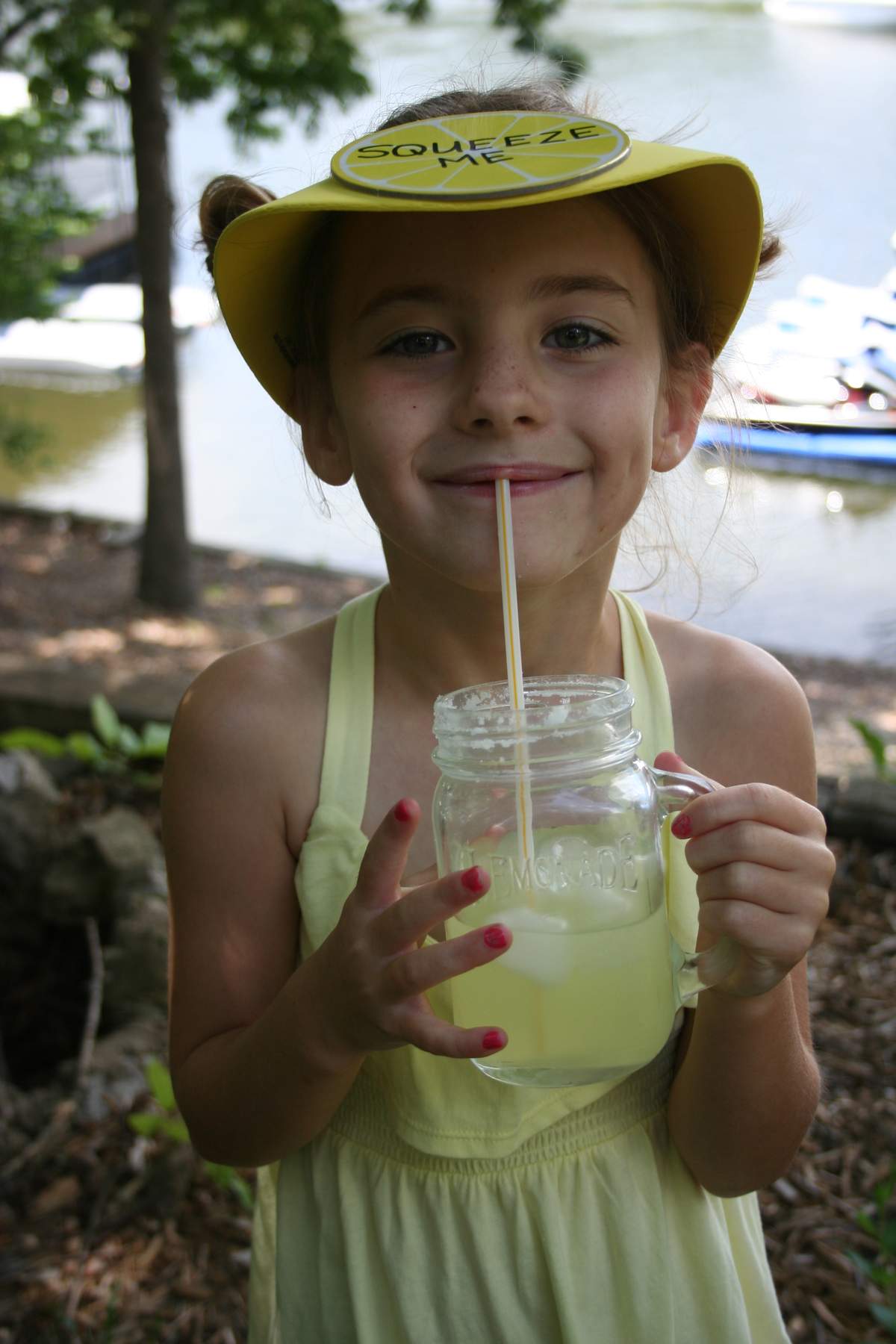 Lemonade Stand Summer Party Ideas | Photo 11 of 14 | Catch My Party