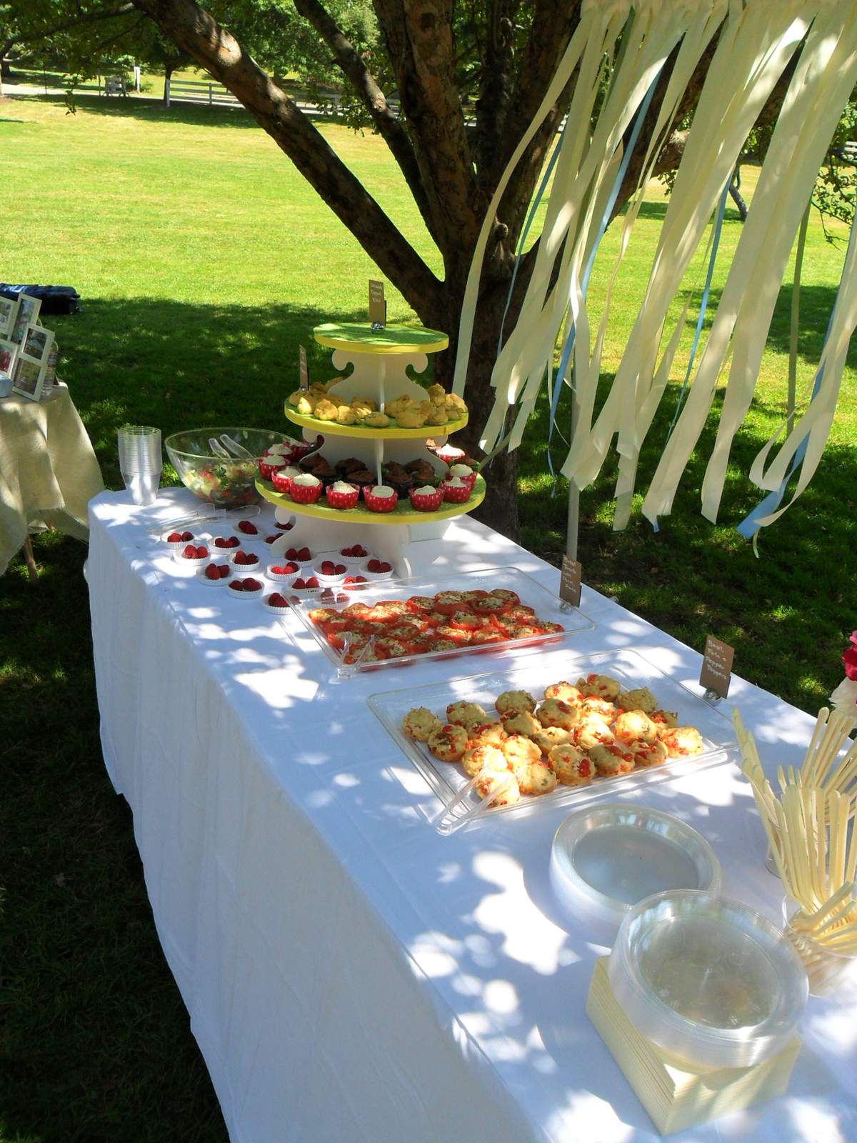 Product Launch/Meet the Designers Party Ideas | Photo 2 of 9 | Catch My ...