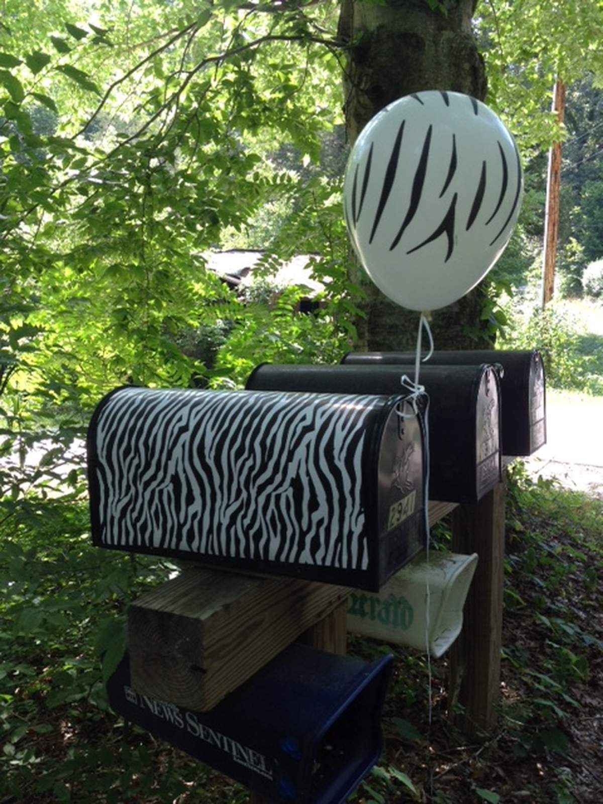 Pink/Zebra Theme Birthday Party Ideas | Photo 3 of 14 | Catch My Party