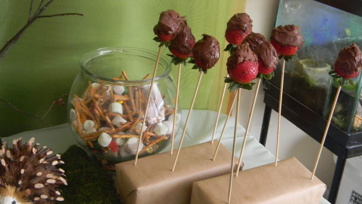 Woodland Animals Birthday Party Ideas | Photo 1 of 21 | Catch My Party