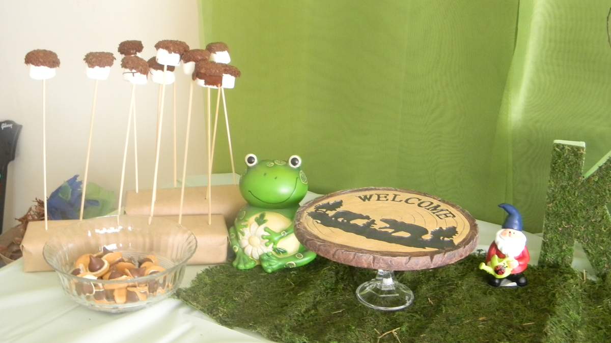 Woodland Animals Birthday Party Ideas | Photo 1 of 21 | Catch My Party