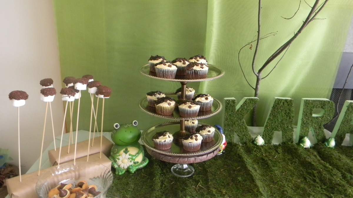 Woodland Animals Birthday Party Ideas | Photo 1 of 21 | Catch My Party