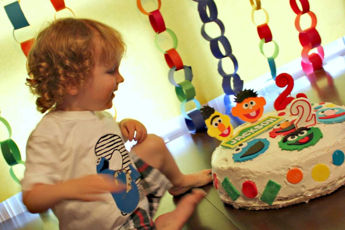 Sesame Street, Elmo / Birthday "Jackson's Sesame Street Party" | Catch ...