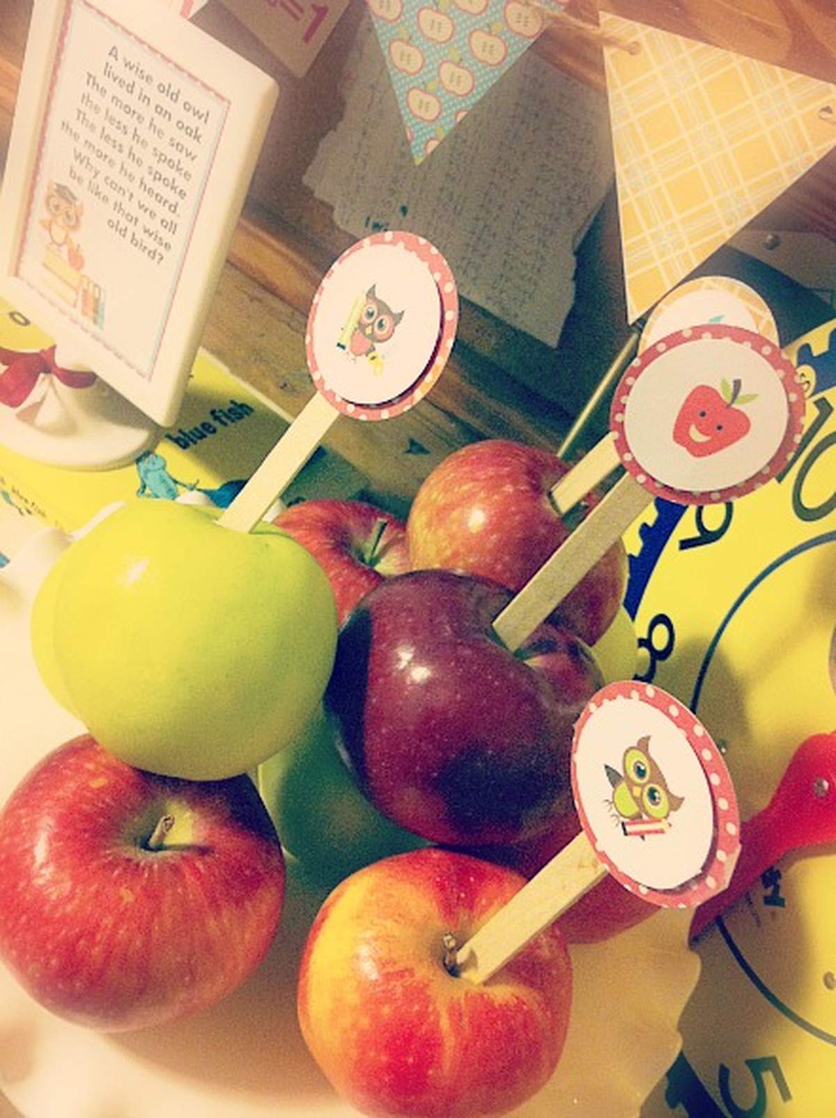 Owls And Apples Back to School Party Ideas | Photo 1 of 16 | Catch My Party