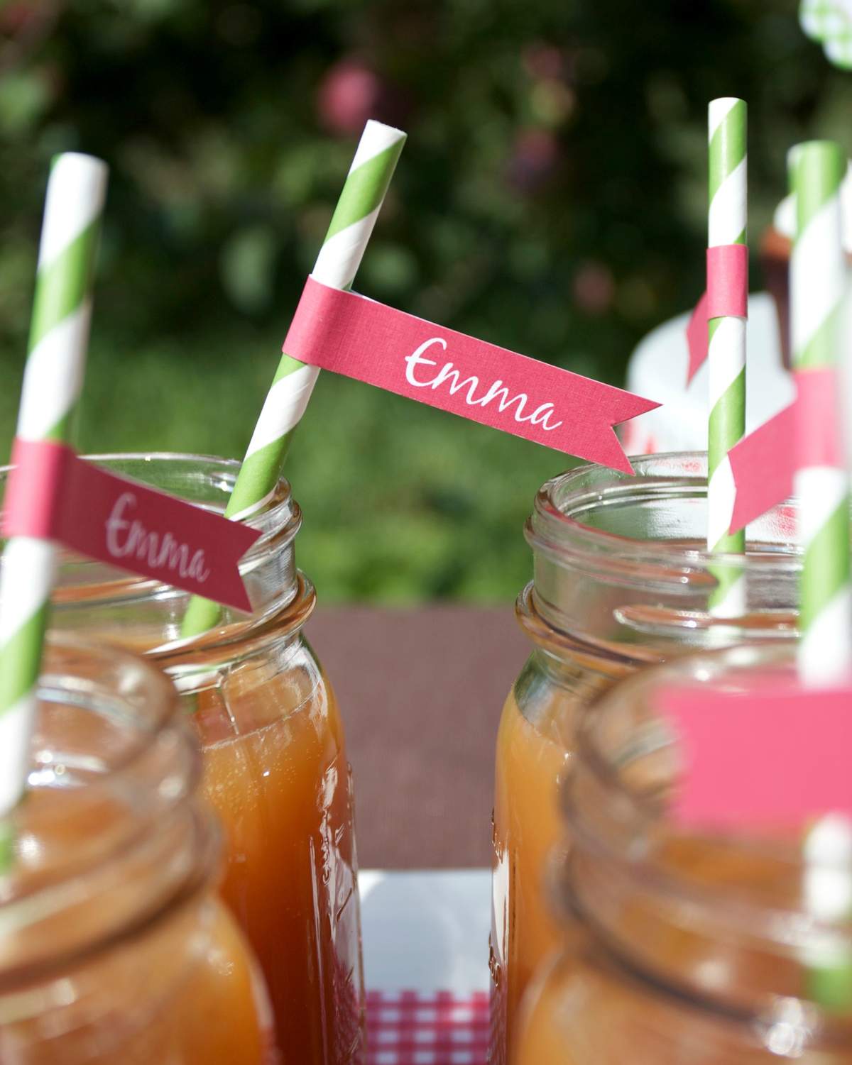 Apples Birthday Party Ideas | Photo 9 of 21 | Catch My Party