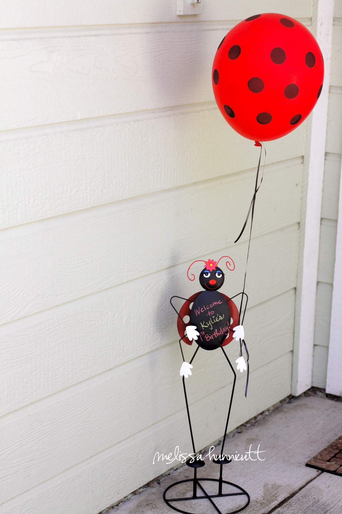 Ladybug Polka Dot / Birthday "Kylie's 1st Birthday" | Catch My Party