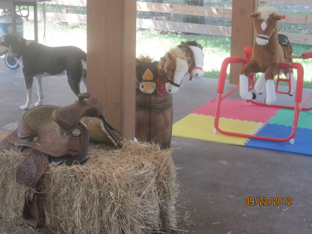 Barnyard/Farm Birthday Party Ideas | Photo 38 of 60 | Catch My Party