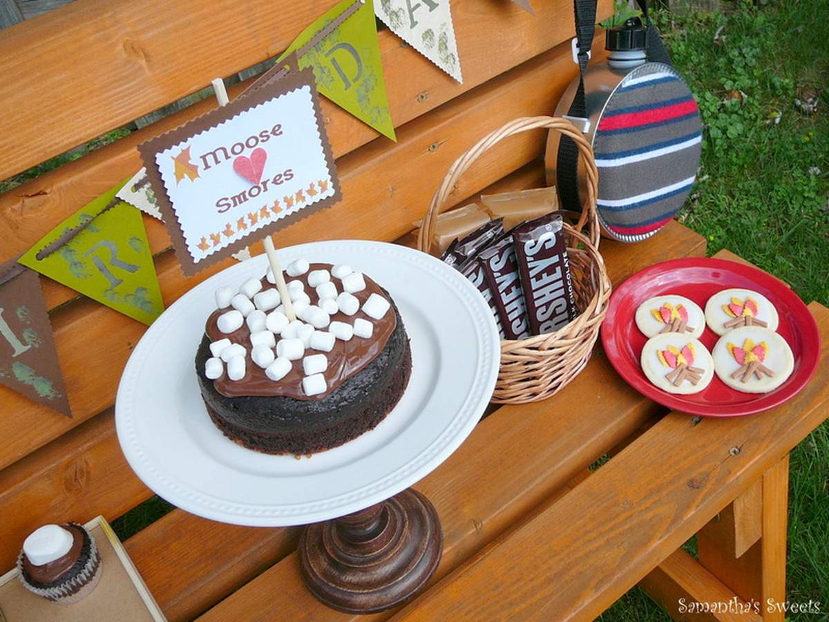Camping, Smores Birthday Party Ideas | Photo 1 of 18 | Catch My Party