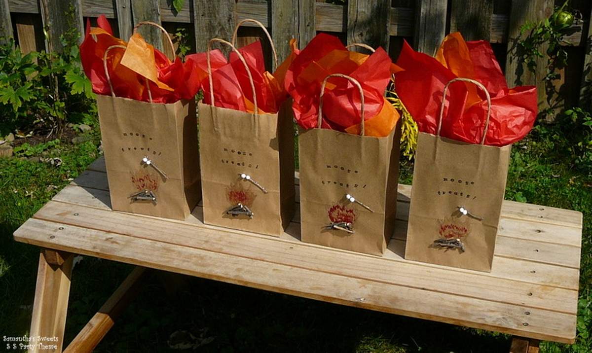 Camping, Smores Birthday Party Ideas | Photo 1 of 18 | Catch My Party