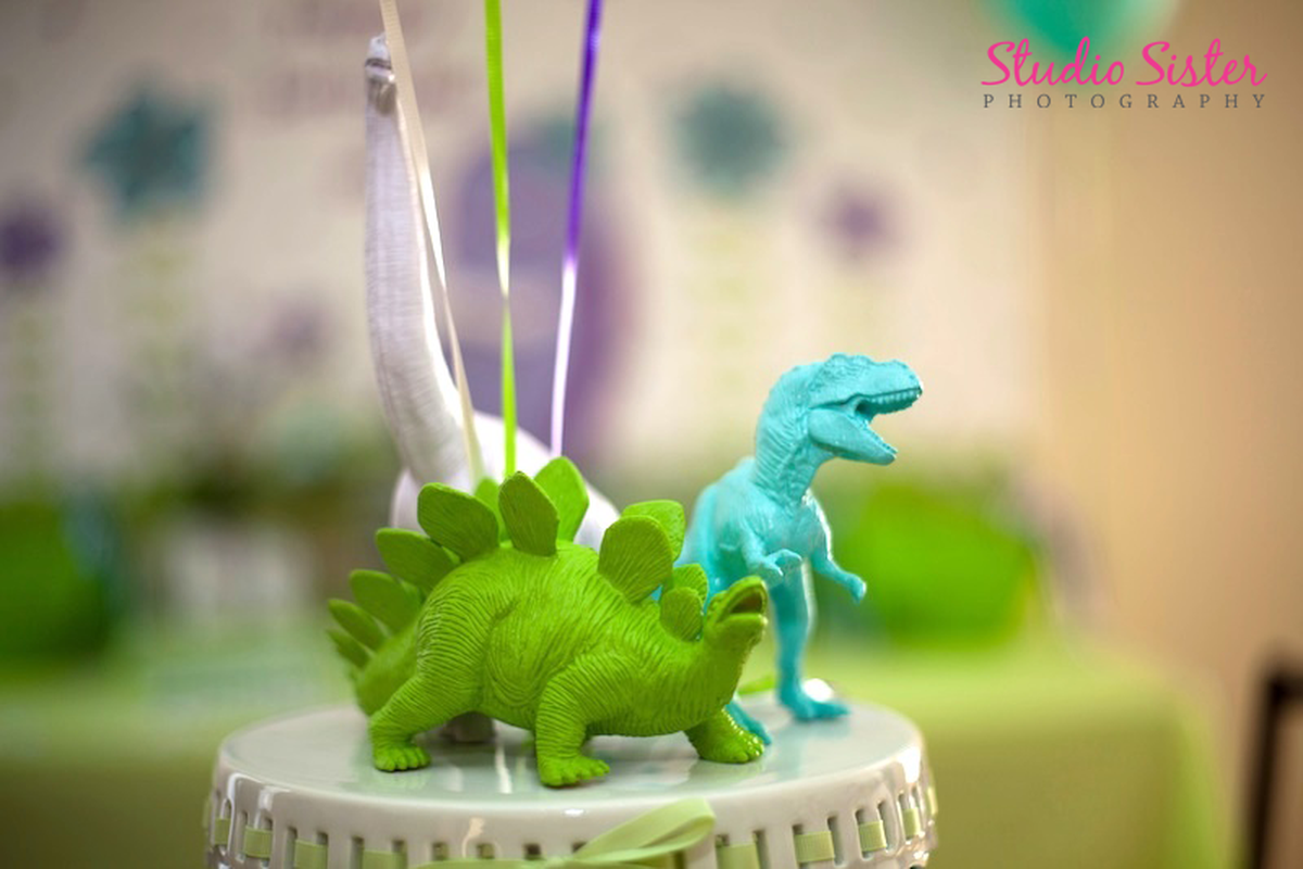 Girls Dinosaur Birthday Party Birthday Party Ideas | Photo 21 of 22 ...
