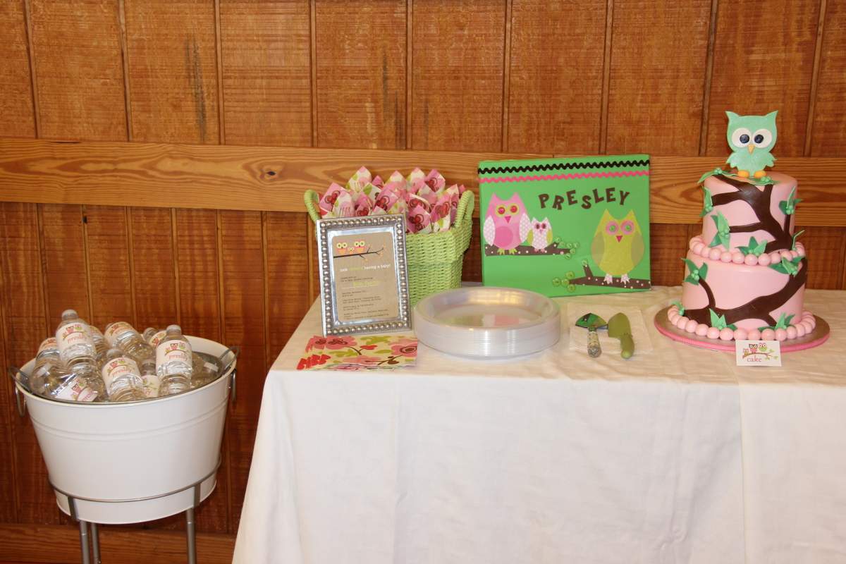 Owl Baby Shower Party Ideas | Photo 11 of 16 | Catch My Party
