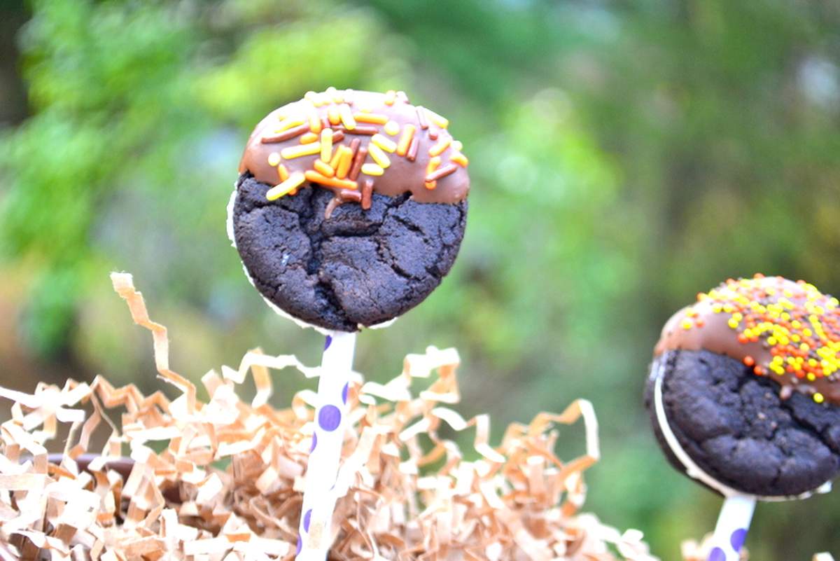 Mayflower Thanksgiving Party Ideas | Photo 26 of 27 | Catch My Party