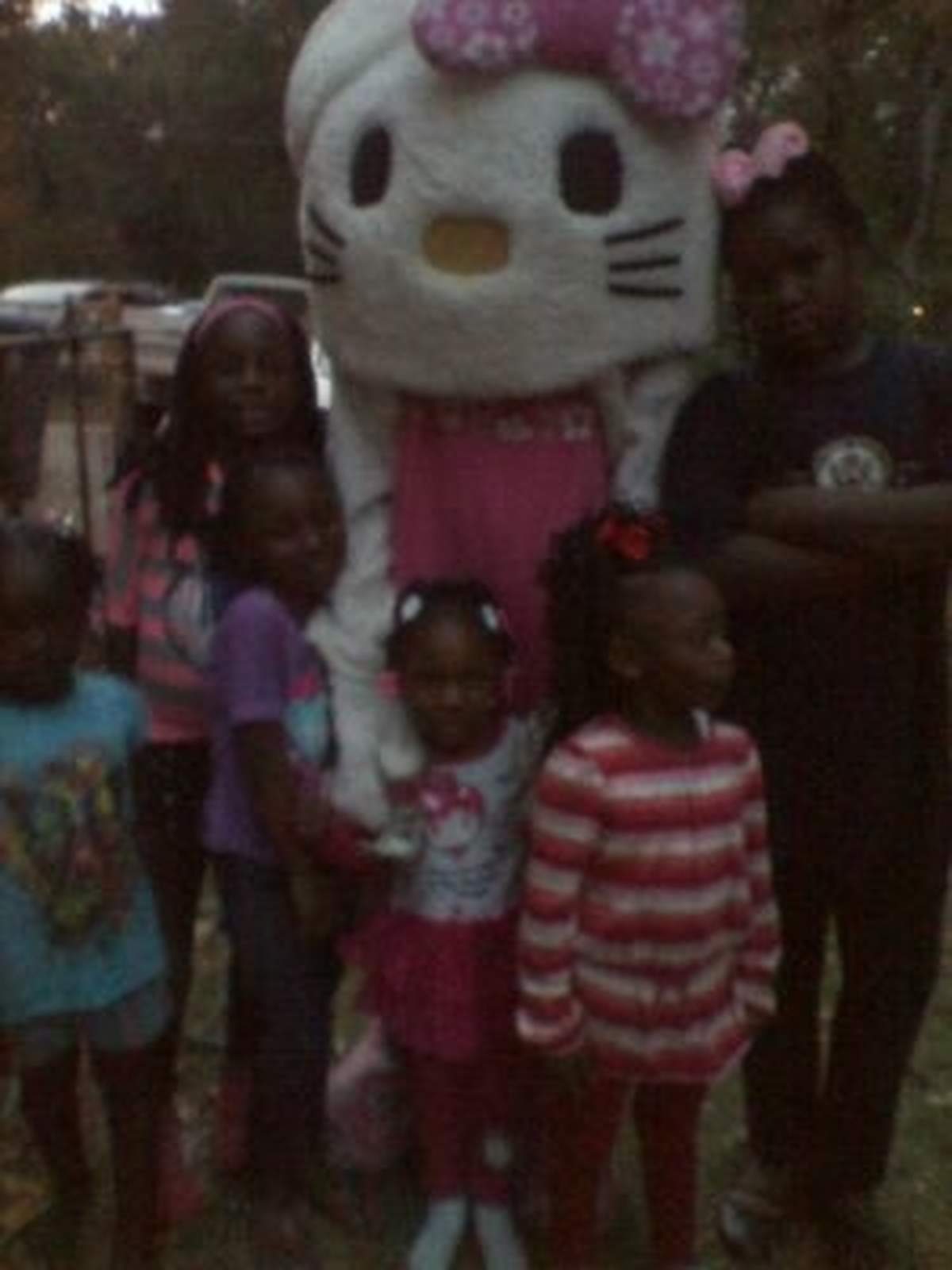 Kitty Land Birthday Party Ideas | Photo 1 of 13 | Catch My Party