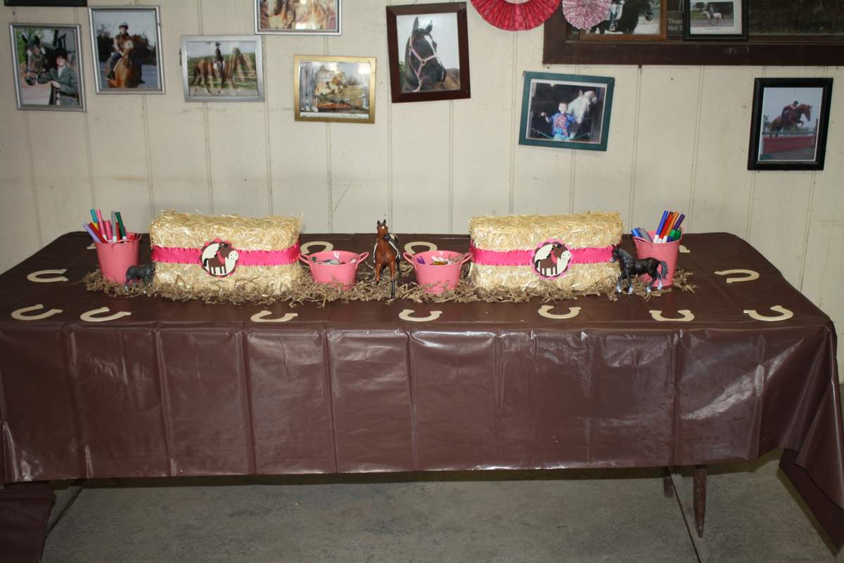 Ponies Birthday Party Ideas | Photo 1 of 17 | Catch My Party