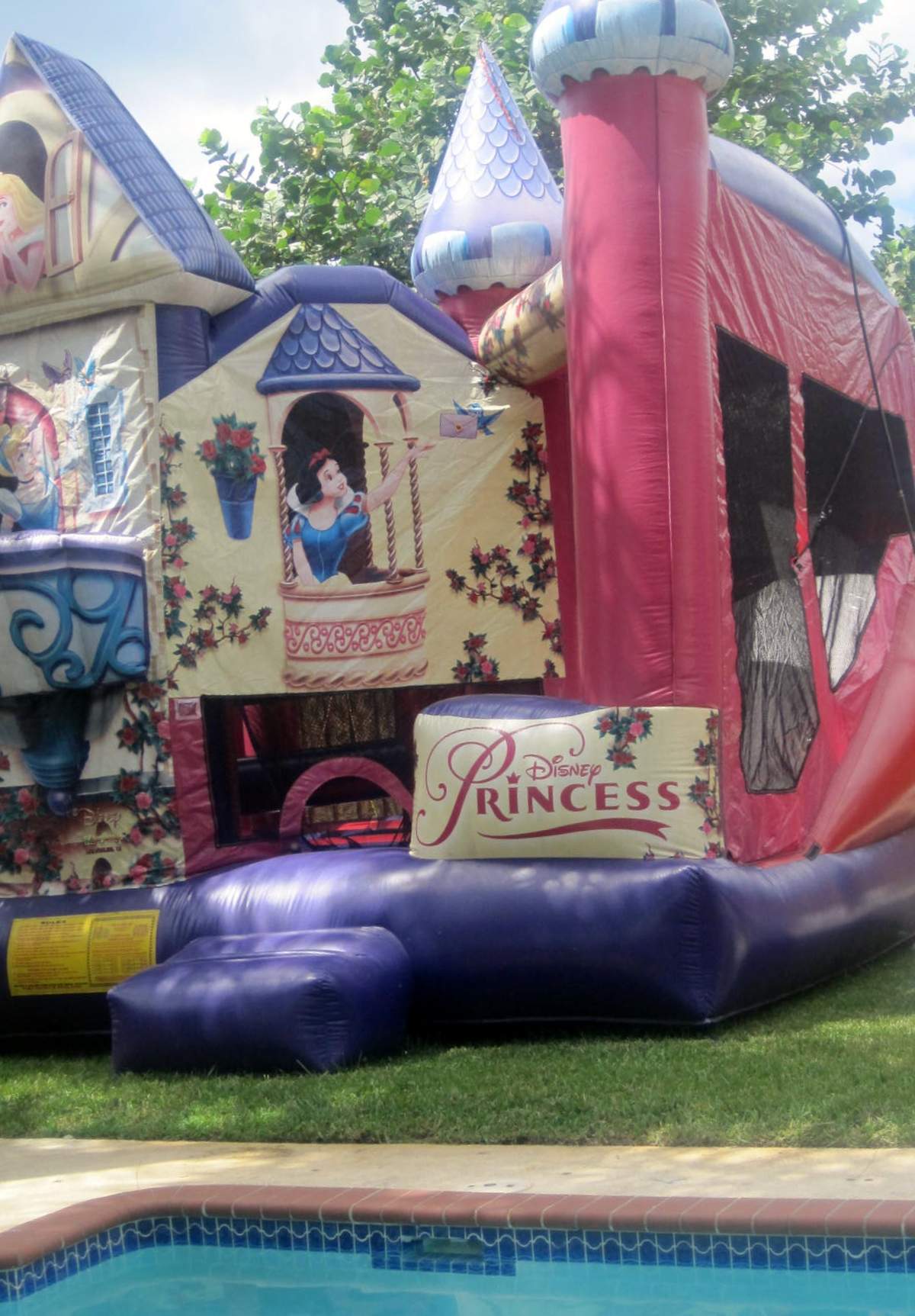 Cinderella's Royal Ball Birthday Party Ideas | Photo 12 of 39 | Catch ...