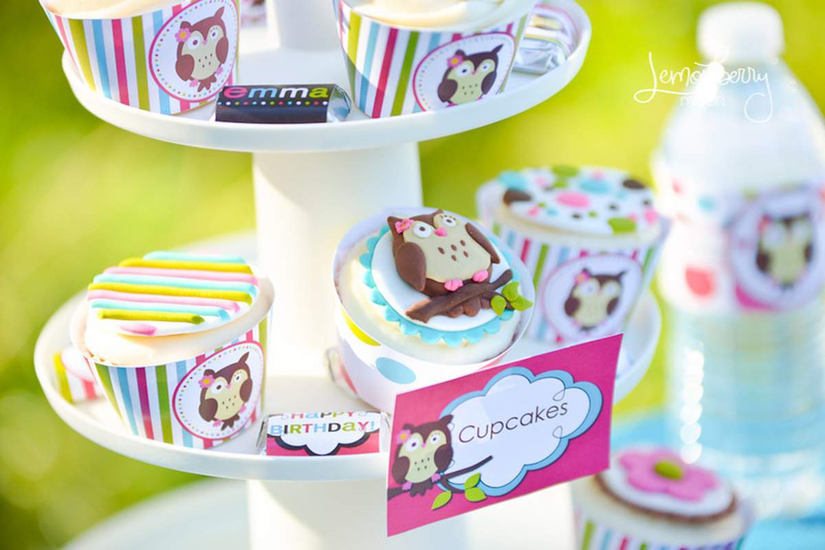 Owl Birthday Party Ideas | Photo 15 of 15 | Catch My Party