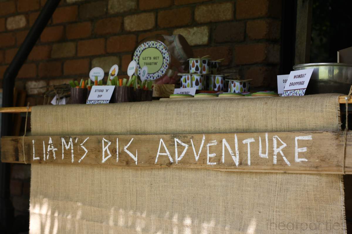 adventure, campout, outdoors, camp, great outdoors Birthday Party Ideas ...