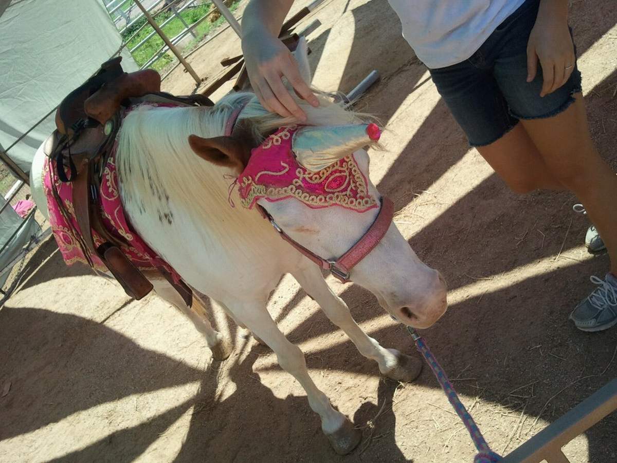 3rd birthday princess and ponies Birthday Party Ideas | Photo 25 of 29 ...