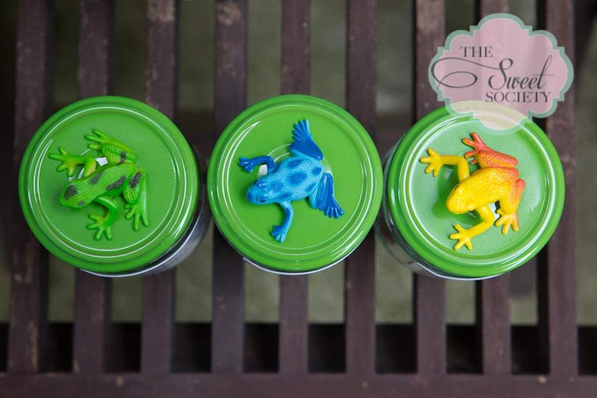 Snakes, lizards, alligators, Reptiles Birthday Party Ideas | Photo 7 of ...