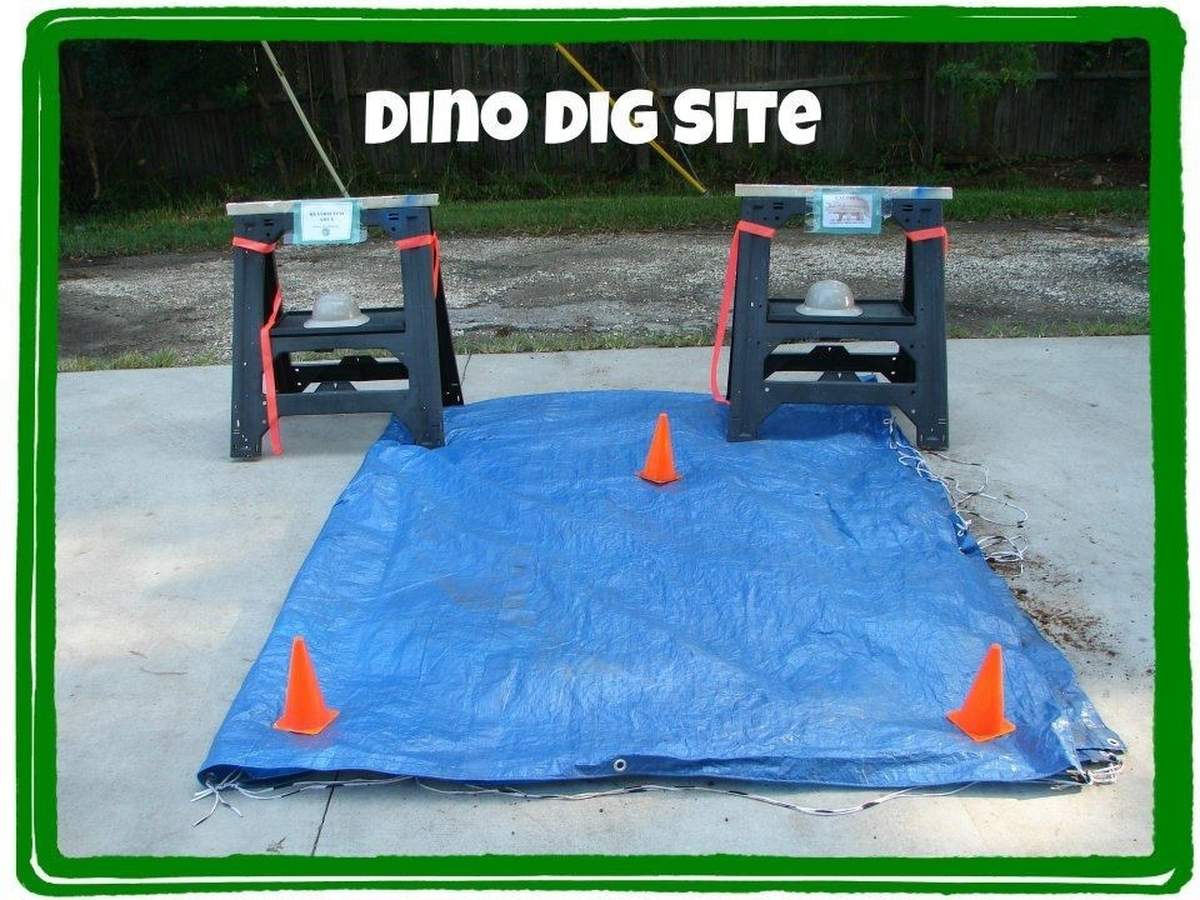 Dinosaur / Birthday "Dino Dig party" | Catch My Party
