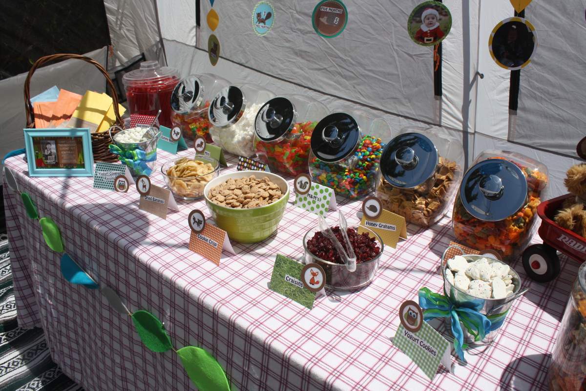 Camping, Smores Birthday Party Ideas | Photo 1 of 48 | Catch My Party