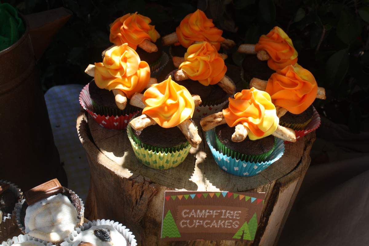 Camping, Smores Birthday Party Ideas | Photo 22 of 48 | Catch My Party