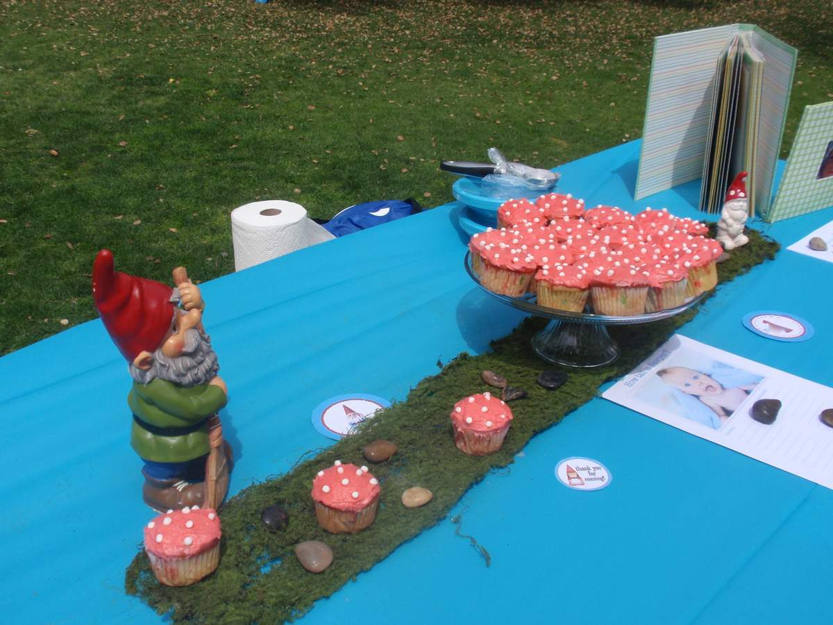 Gnomes and Toadstools Birthday Party Ideas | Photo 1 of 38 | Catch My Party