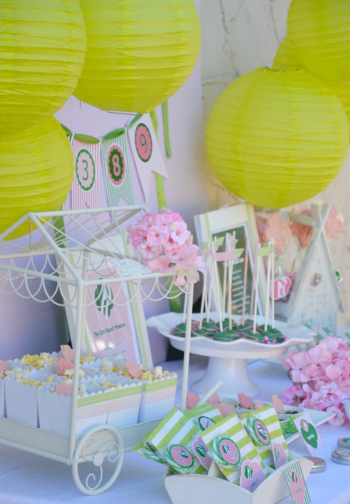 Pink and green Girl Scouts Party Ideas | Photo 5 of 24 | Catch My Party