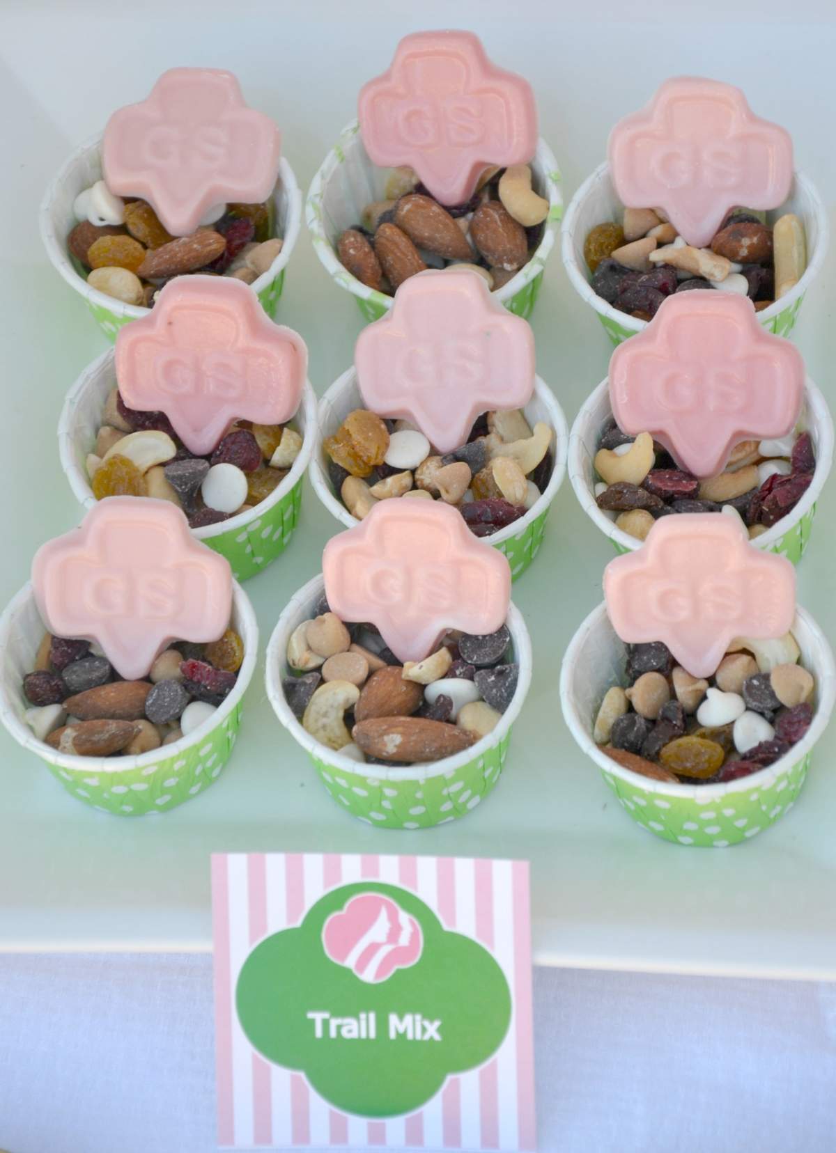 Pink and green Girl Scouts Party Ideas | Photo 2 of 24 | Catch My Party