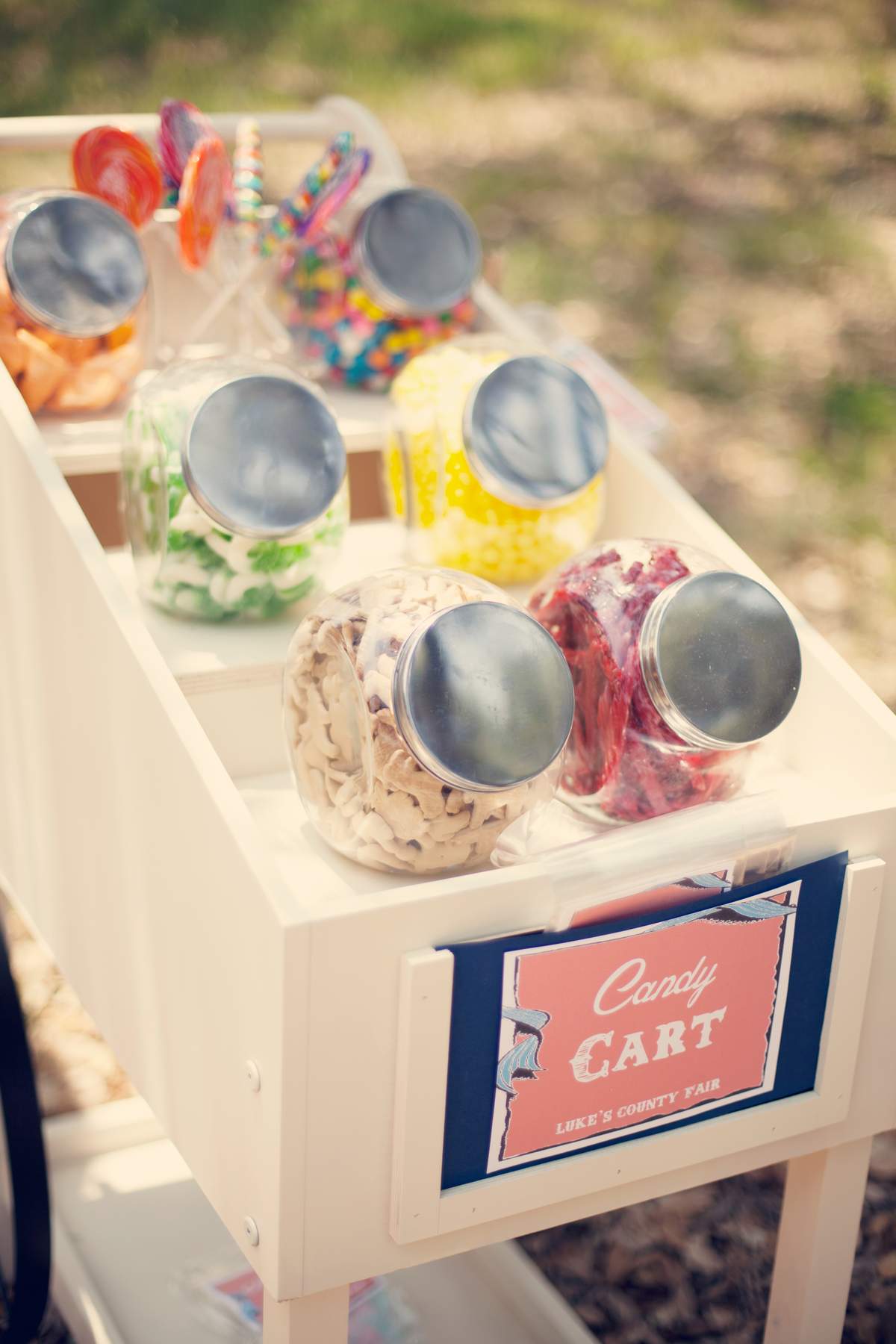 Vintage County Fair Birthday Party Ideas | Photo 3 of 12 | Catch My Party