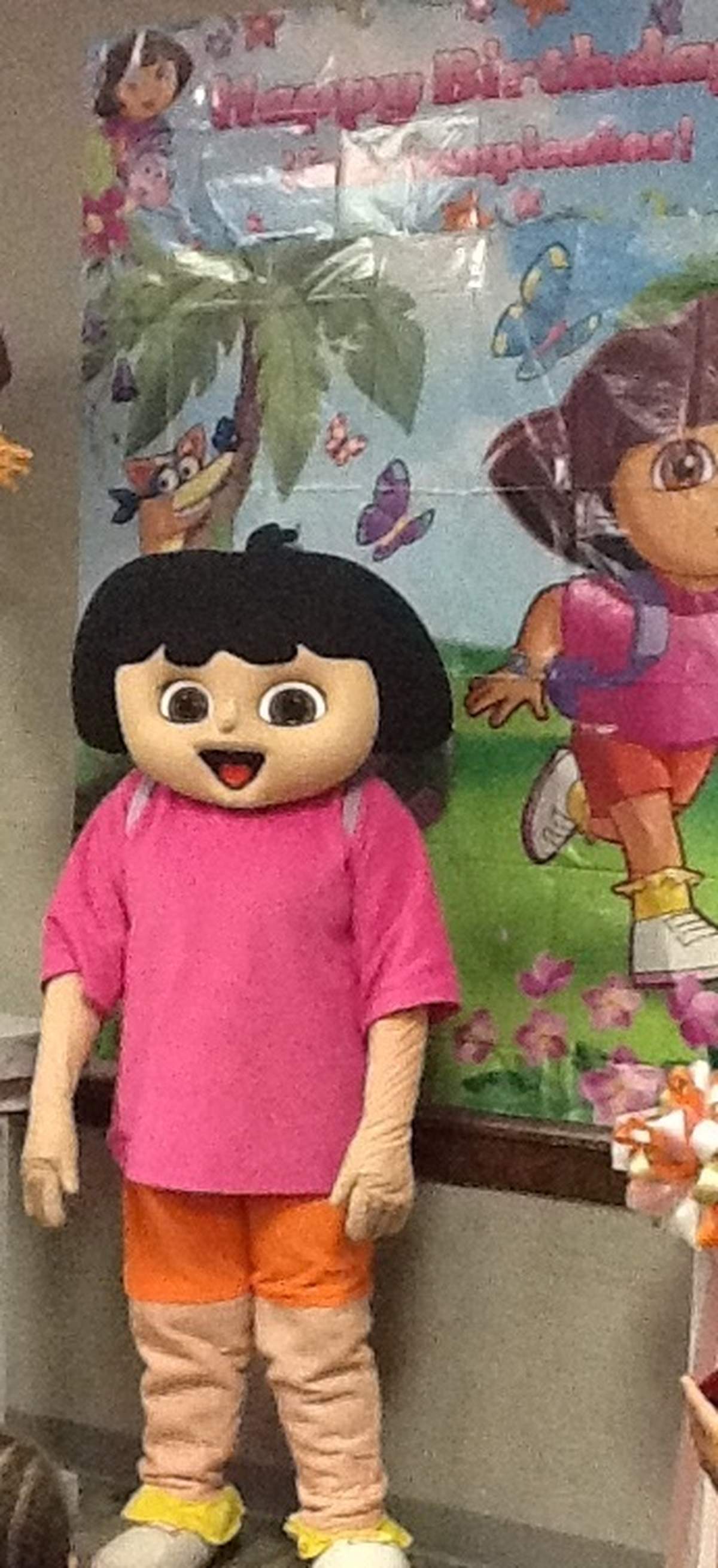 Dora Themed Party Birthday Party Ideas | Photo 5 of 13 | Catch My Party