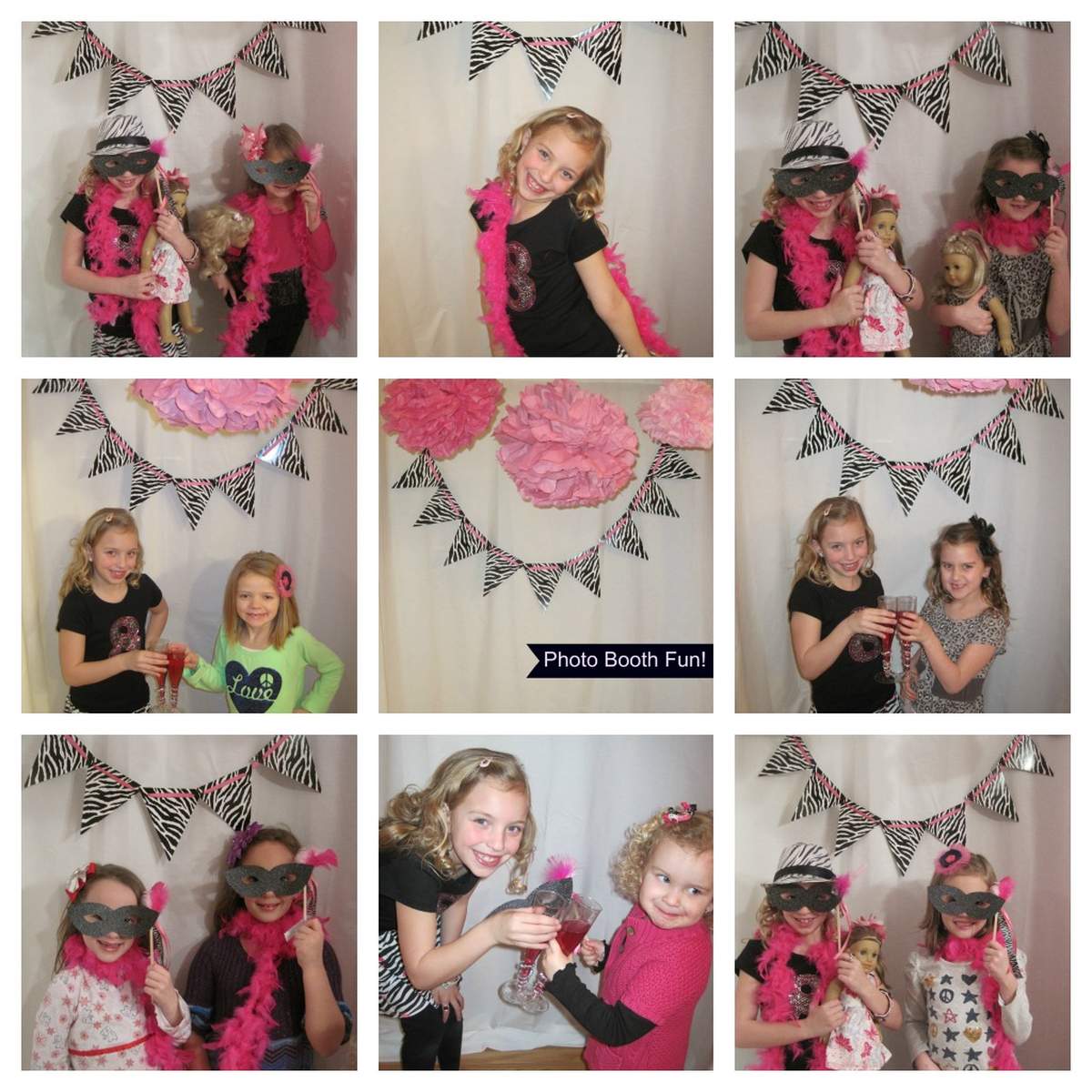 Pink/Zebra Theme Birthday Party Ideas | Photo 10 of 16 | Catch My Party