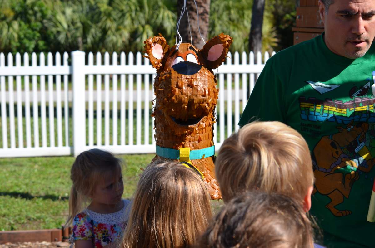 Scooby Doo Birthday Party Ideas | Photo 2 of 26 | Catch My Party