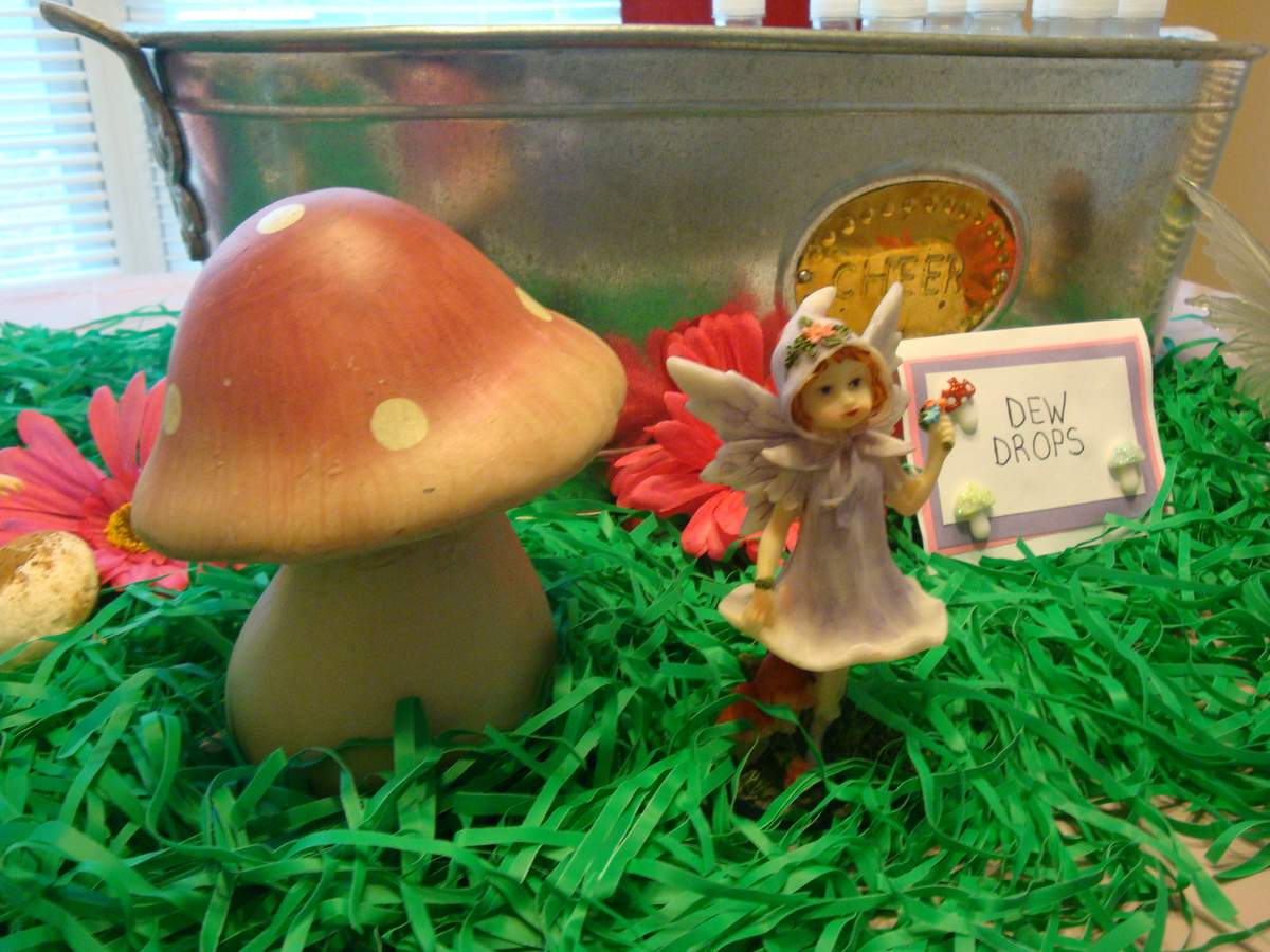 Fairy and Toadstools Birthday Party Ideas | Photo 6 of 26 | Catch My Party
