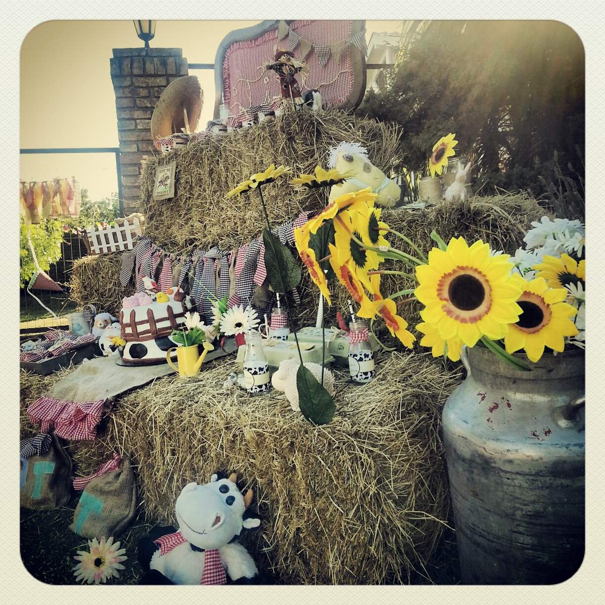 Farm party Birthday Party Ideas | Photo 17 of 64 | Catch My Party